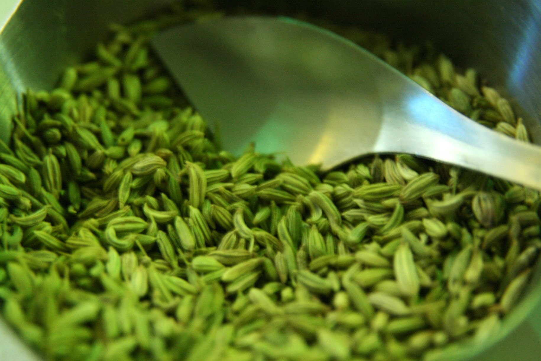 Inde 2012 - Le palais Rajmahal et les havelis de Jaisalmer